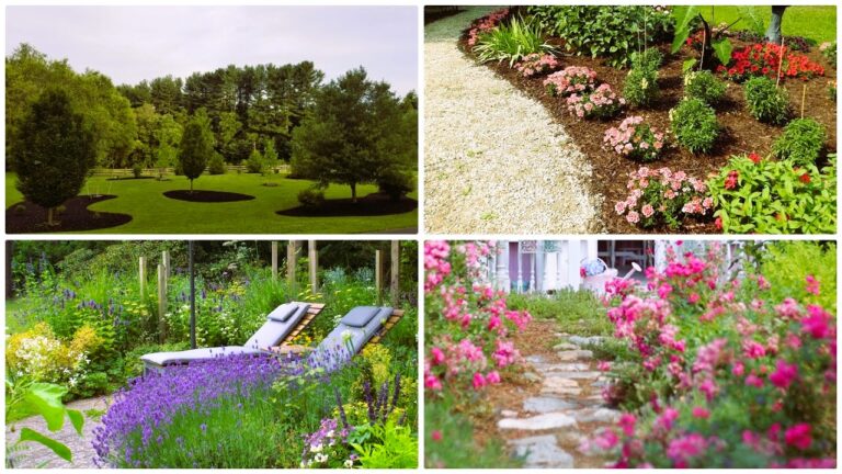 Your Guide to Beautiful Gardens | Be Plant Wise